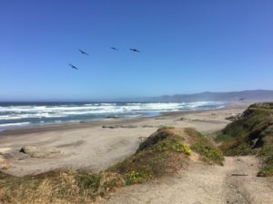 Consultations – Neil Nathan MD