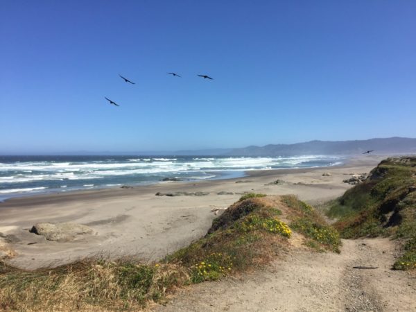 Consultations – Neil Nathan MD